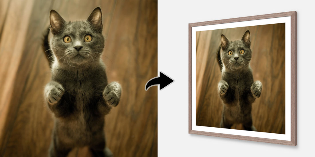 3D Frame Illustrator 3D Frame Illustrator